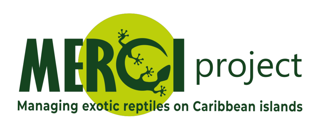 Reptiles : succès de la première mission terrain pour le projet MERCI ...