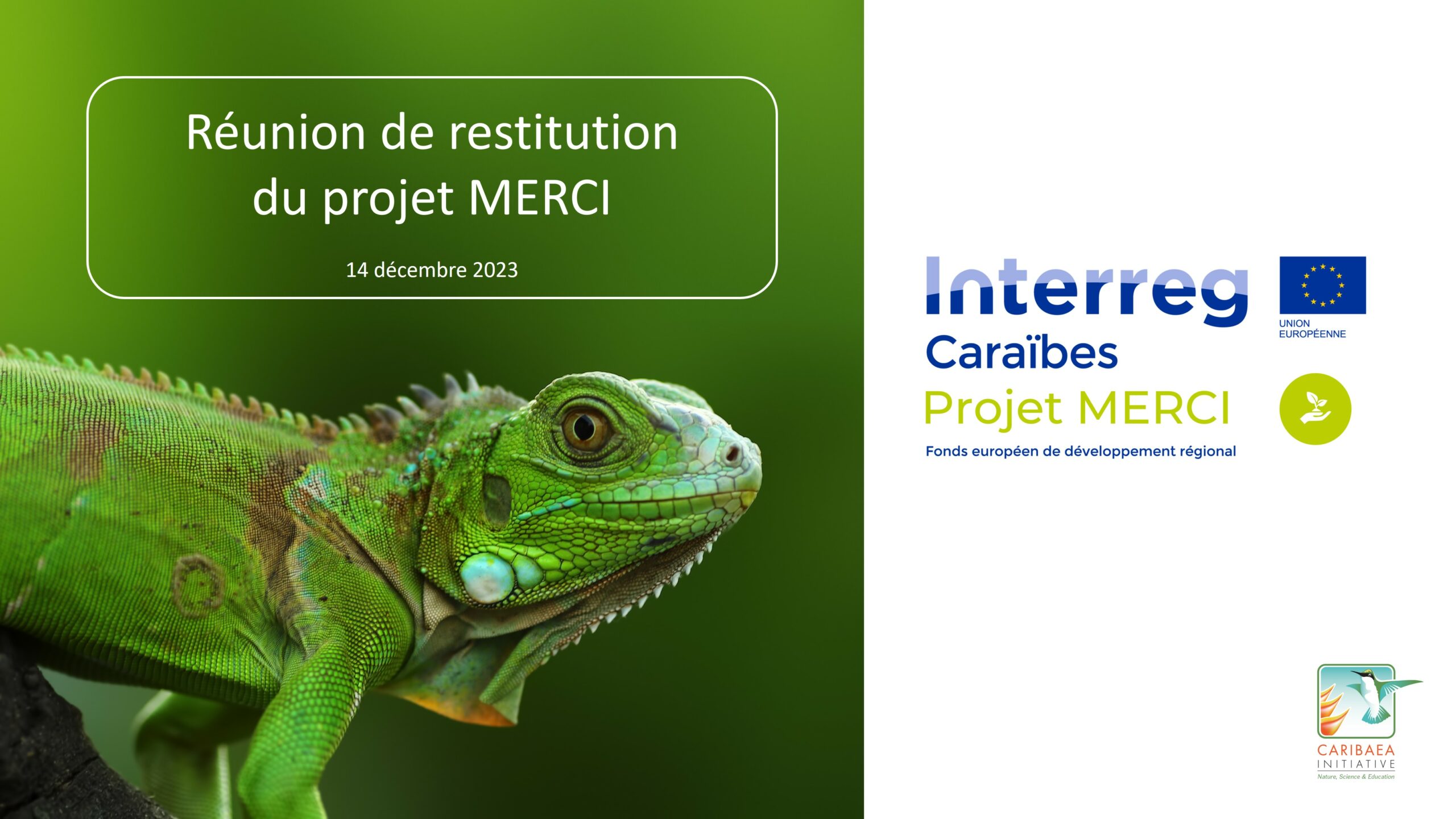 A venir : réunion de restitution du projet - Merci Project